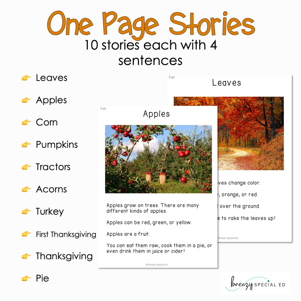 Fall and Thanksgiving - Easy Reading Comprehension for Special Educati ...
