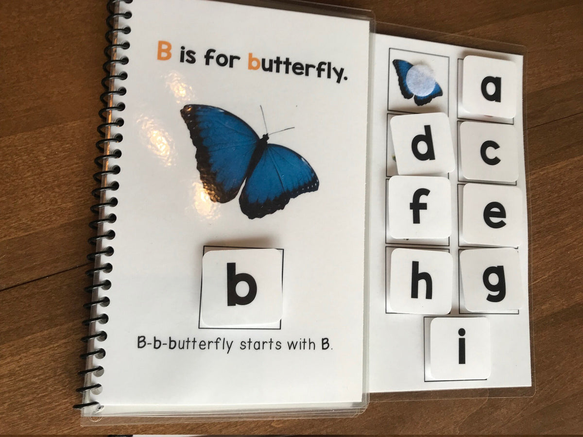 Alphabet Review Adapted/Interactive Books (3pk) -Fully Prepped – Breezy ...