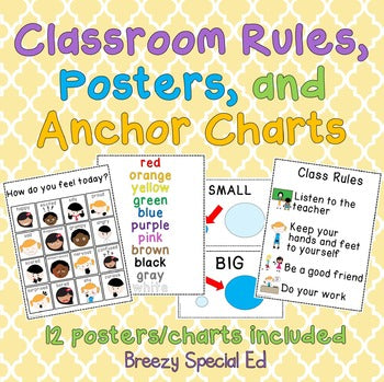 FREE Classroom Rules, Posters, and Anchor Charts for Special Education ...