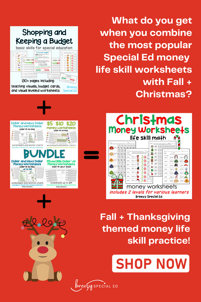 Christmas Life Skill Money Math + Budget Worksheets for Special Educat ...