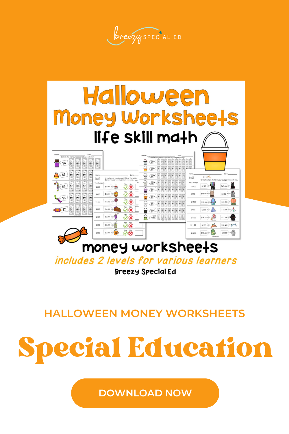 Halloween Life Skill Money Math + Budget Worksheets for Special Educat ...