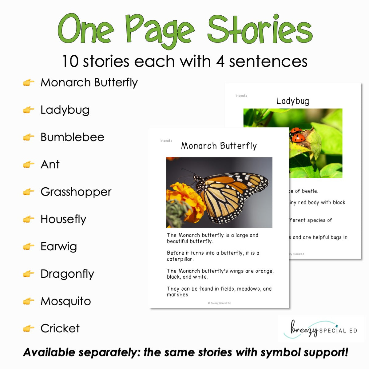 Insects - Easy Reading Comprehension for Special Education – Breezy ...