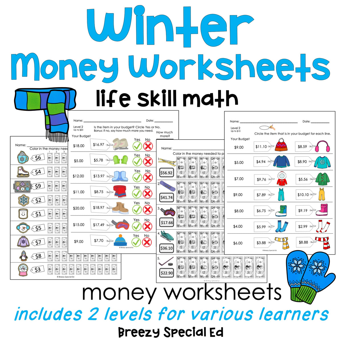 Winter Life Skill Money Math + Budget Worksheets for Special Education ...