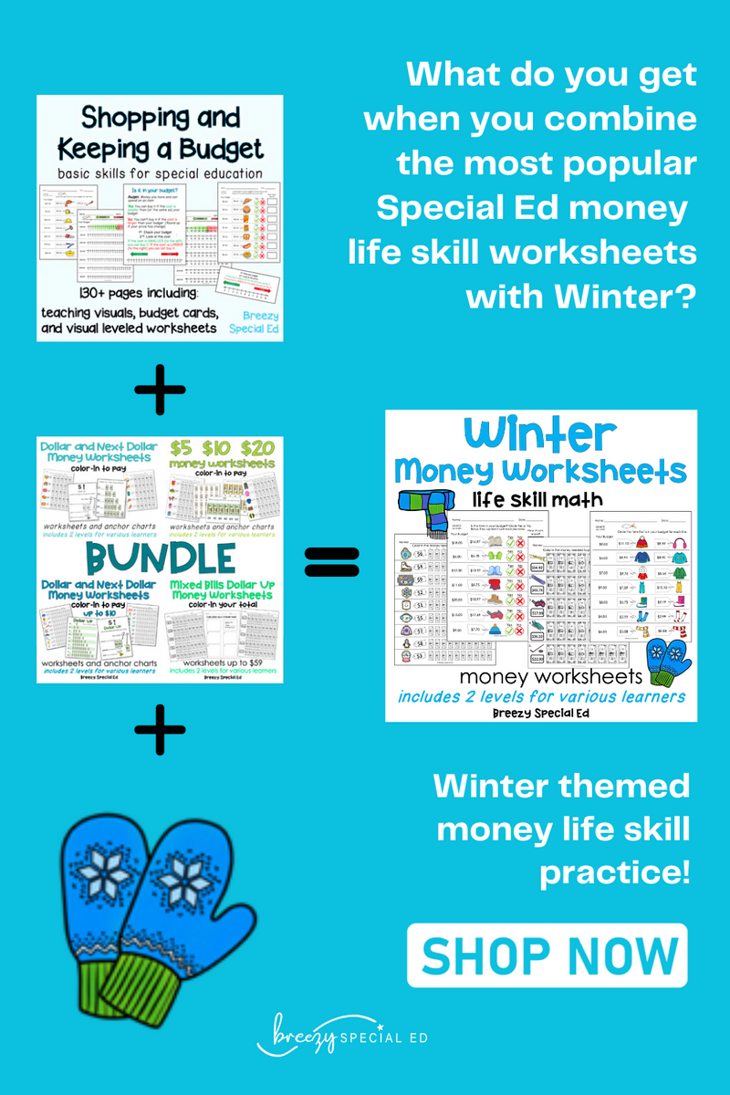 Winter Life Skill Money Math + Budget Worksheets for Special Education ...