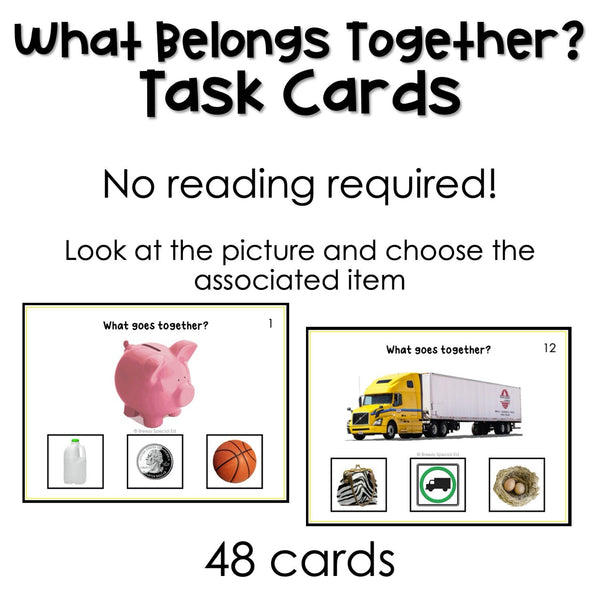 What Belongs Together? Associations task cards for autism and special ...