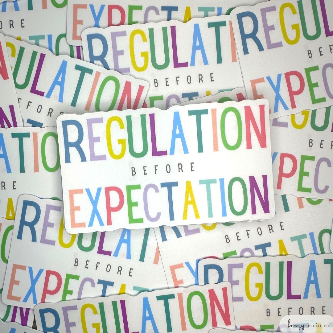 Regulation Before Expectation | Teacher Sticker | Special Education ...