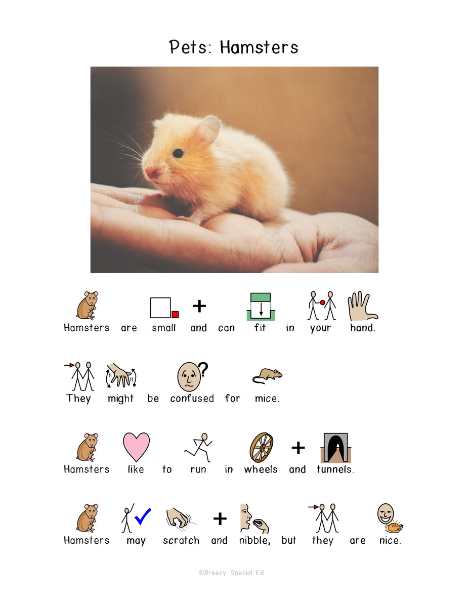 Pets - Symbol Supported Reading Comprehension for Special Ed – Breezy ...