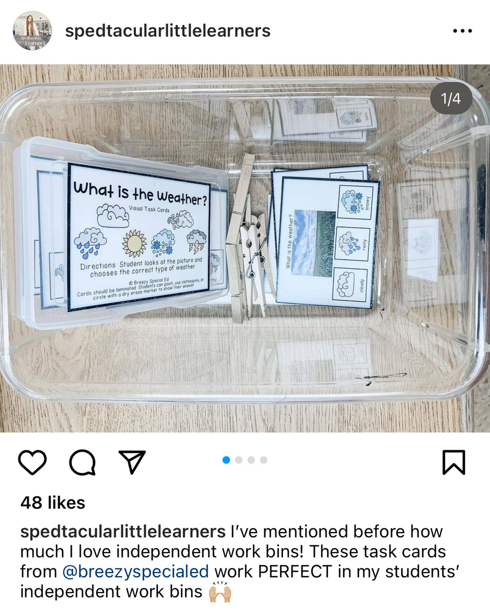What is the Weather? Visual Task Cards (Special Education) – Breezy ...